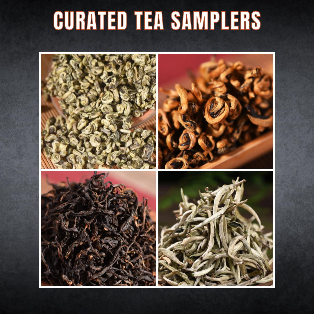 Curated Tea Samplers Yunnan Sourcing Tea Shop