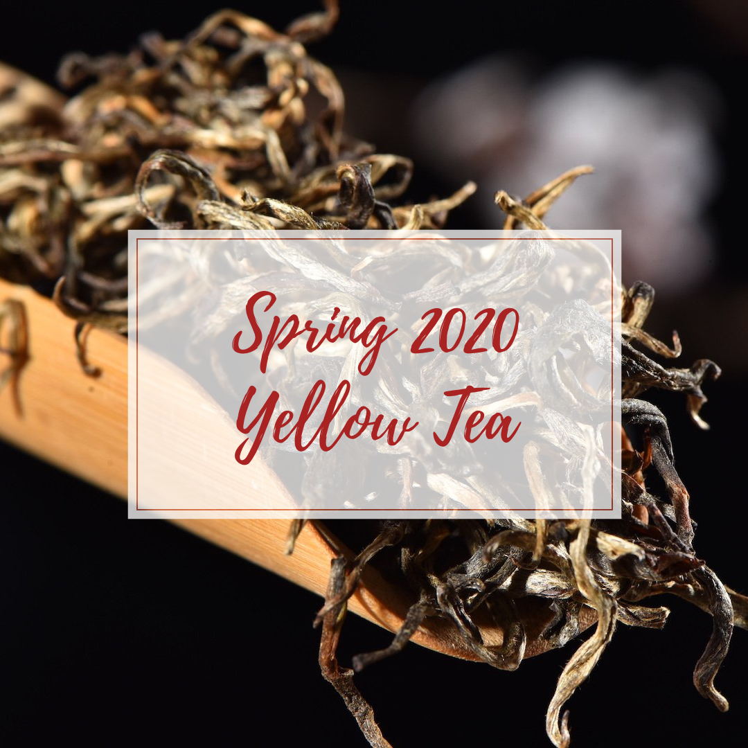 Yellow Tea - Spring 2020 Yunnan Sourcing Tea Shop