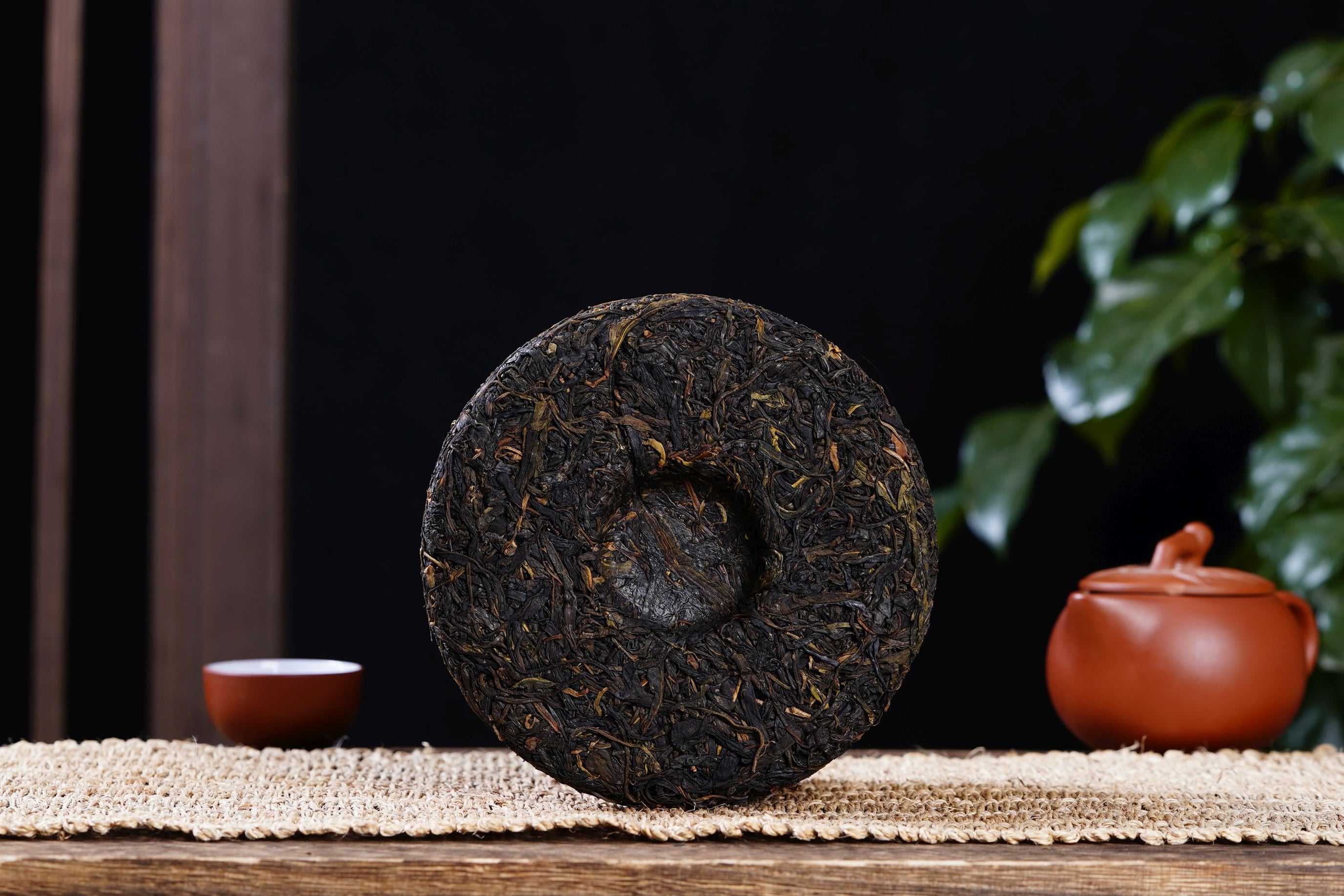 2023 Yunnan Sourcing "Jinggu Ye Sheng Cha" Wild Tree Purple Tea Cake ...