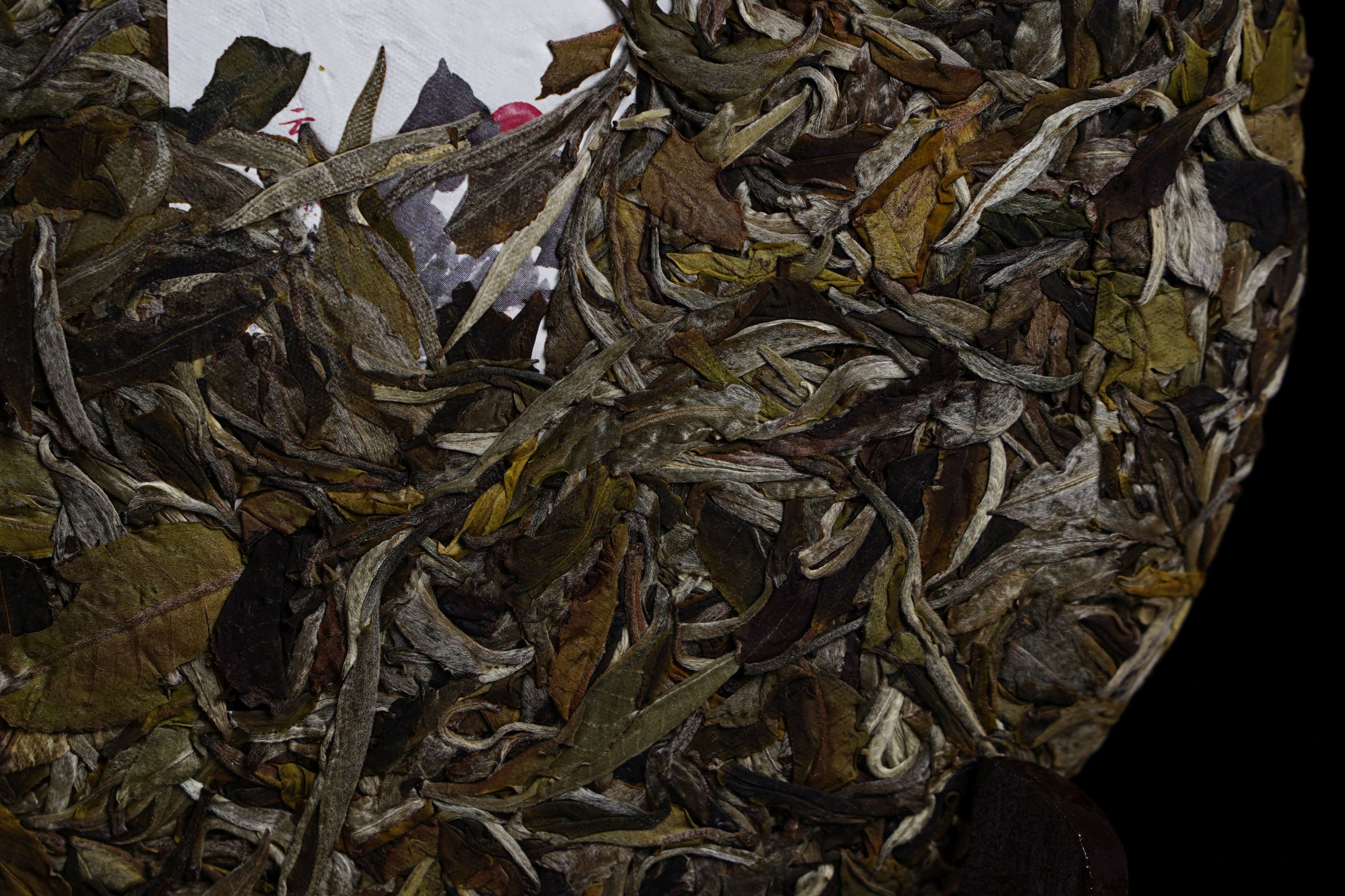 2023 Yunnan Sourcing "Mengku Gu Shu Bai Cha" White Tea Cake Yunnan ...