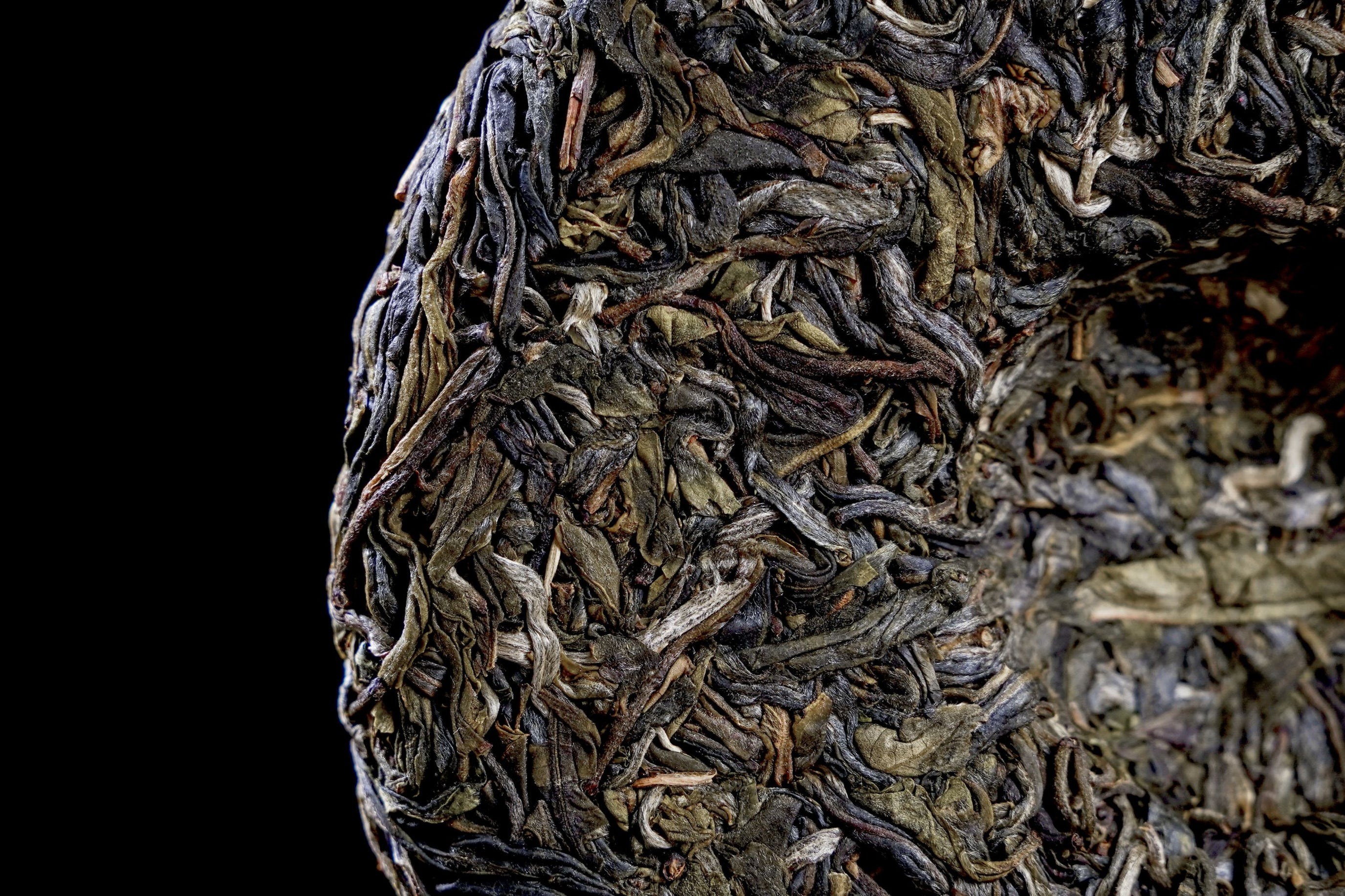 2023 Yunnan Sourcing "Bing Dao Lao Zhai" Raw Pu-erh Tea Cake — Yunnan ...