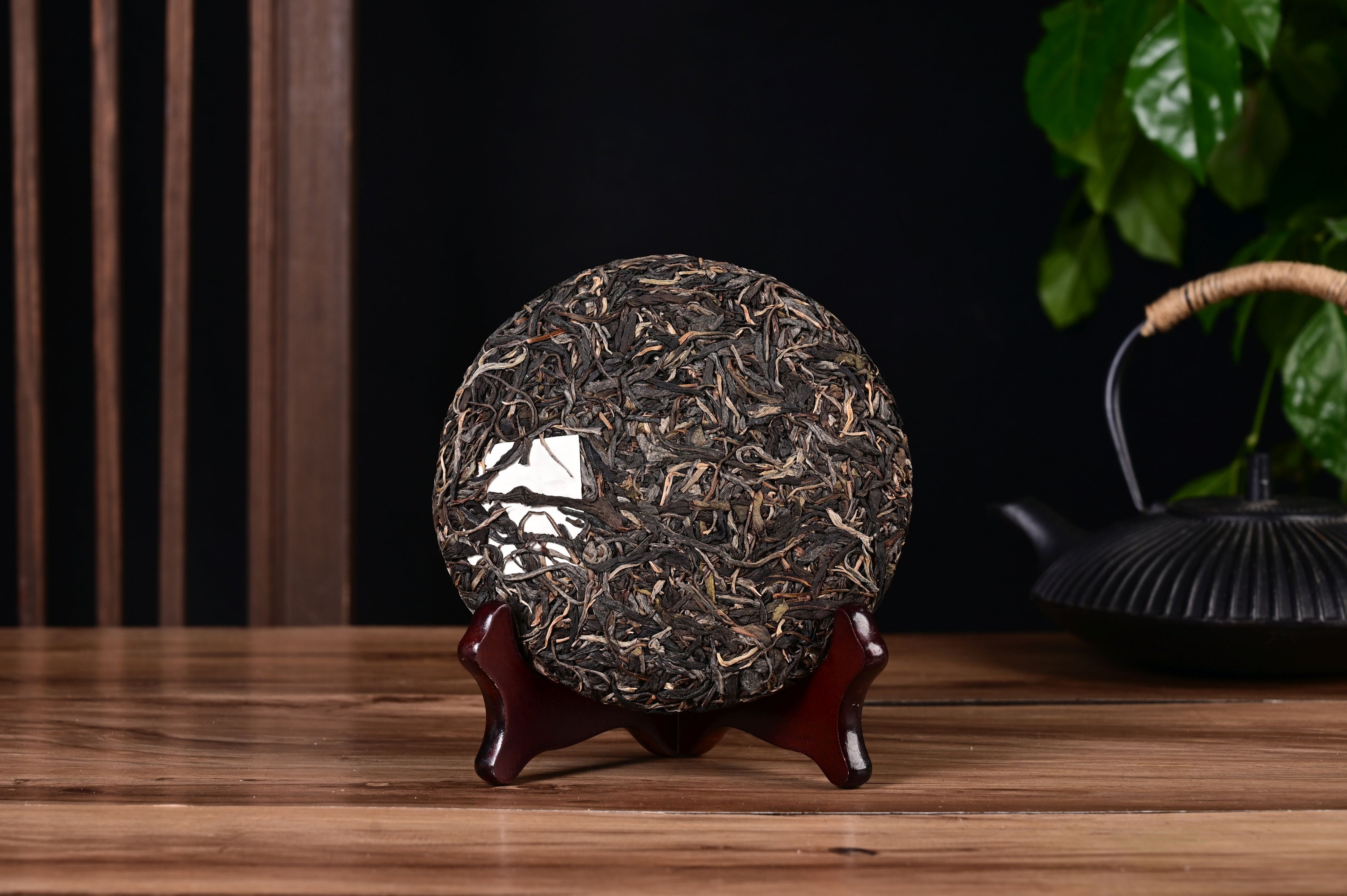 2024 Yunnan Sourcing "Gao Shan Zhai" Ancient Arbor Raw Pu-erh Tea Cake ...