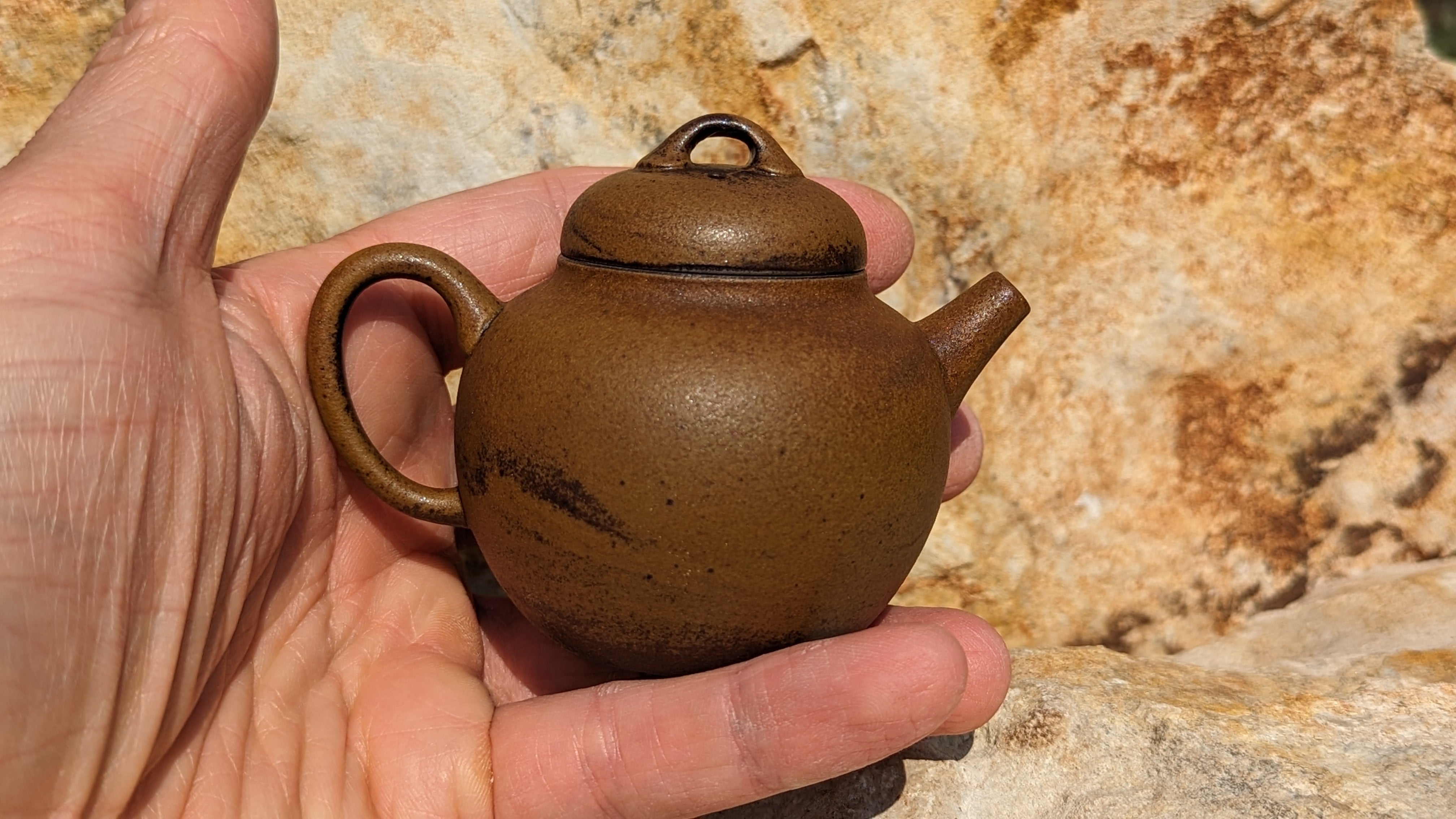 Taklamakan Ru Yi Wood-Fired Kiln Clay Teapot Yunnan Sourcing Tea Shop