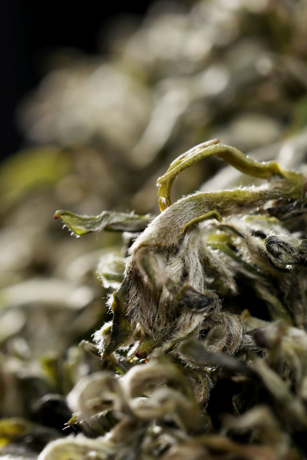 Meng Ding Gan Lu "Sweet Dew" Green Tea Yunnan Sourcing Tea Shop