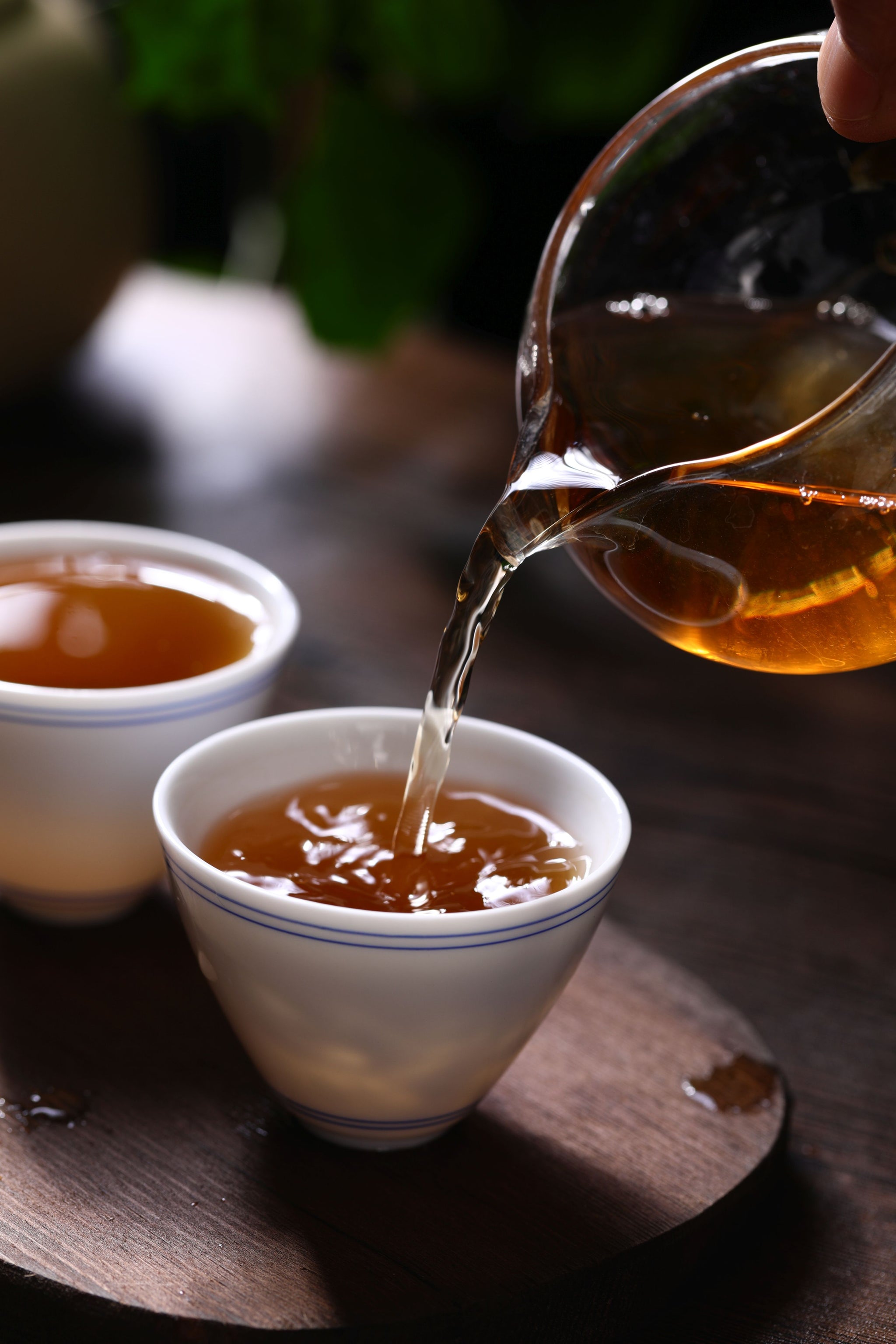 Fujian Black Tea Yunnan Sourcing Tea Shop