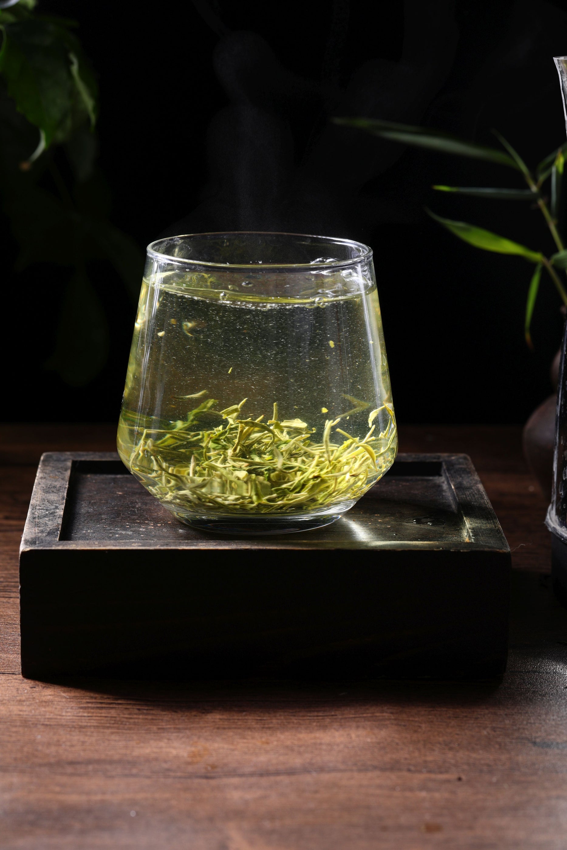 Imperial Xinyang Mao Jian Green Tea of Henan Yunnan Sourcing Tea Shop