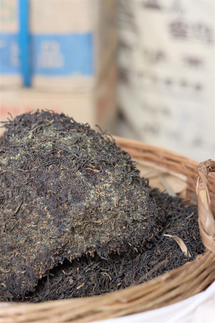Guangxi Liu Bao Tea — Yunnan Sourcing Tea Shop
