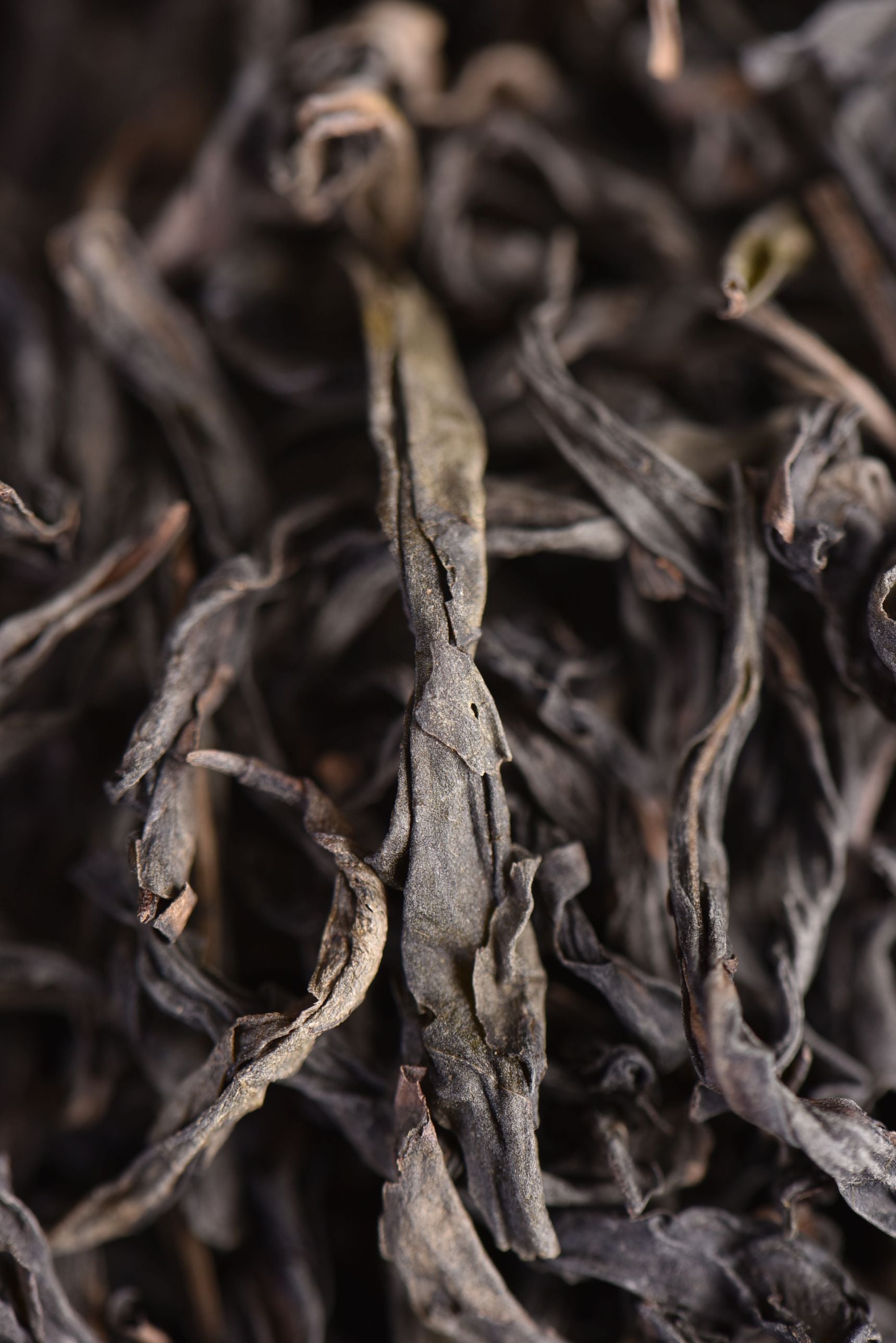 Jin Yao Shi "Golden Key" Wu Yi Mountain Rock Oolong Tea Yunnan Sourcing ...