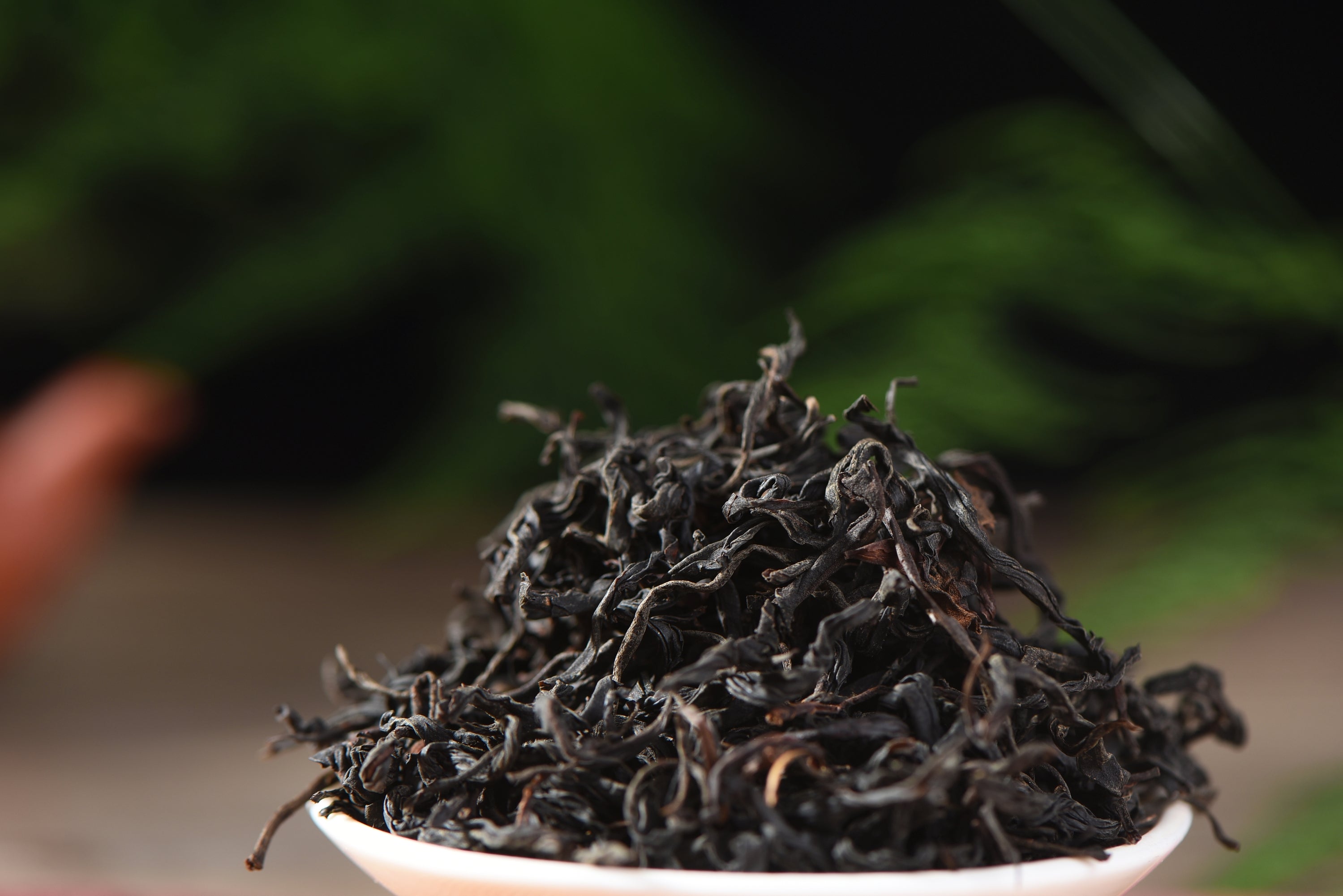 Feng Qing Ye Sheng Hong Cha Wild Tree Purple Black Tea Yunnan Sourcing ...