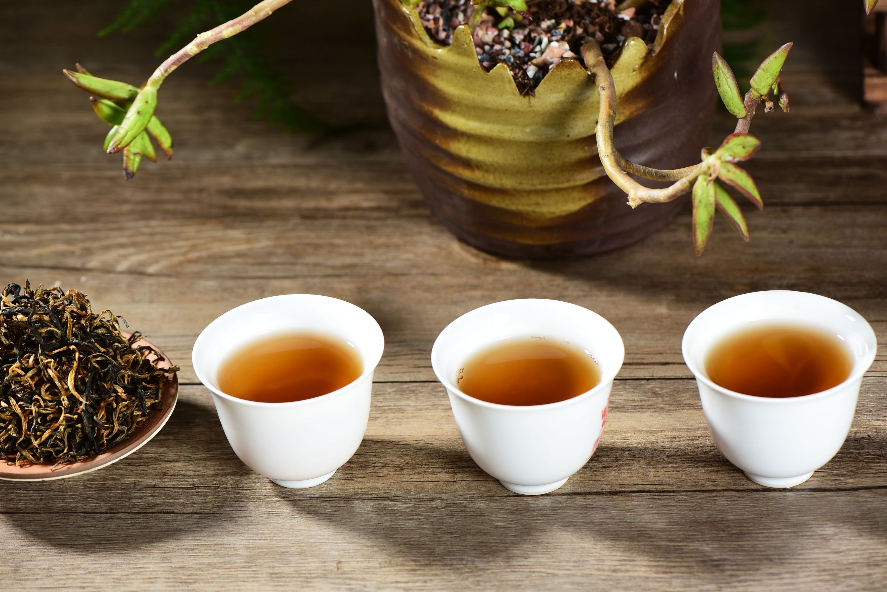 Ning'er "Golden Honey Aroma" Yunnan Black Tea Yunnan Sourcing Tea Shop