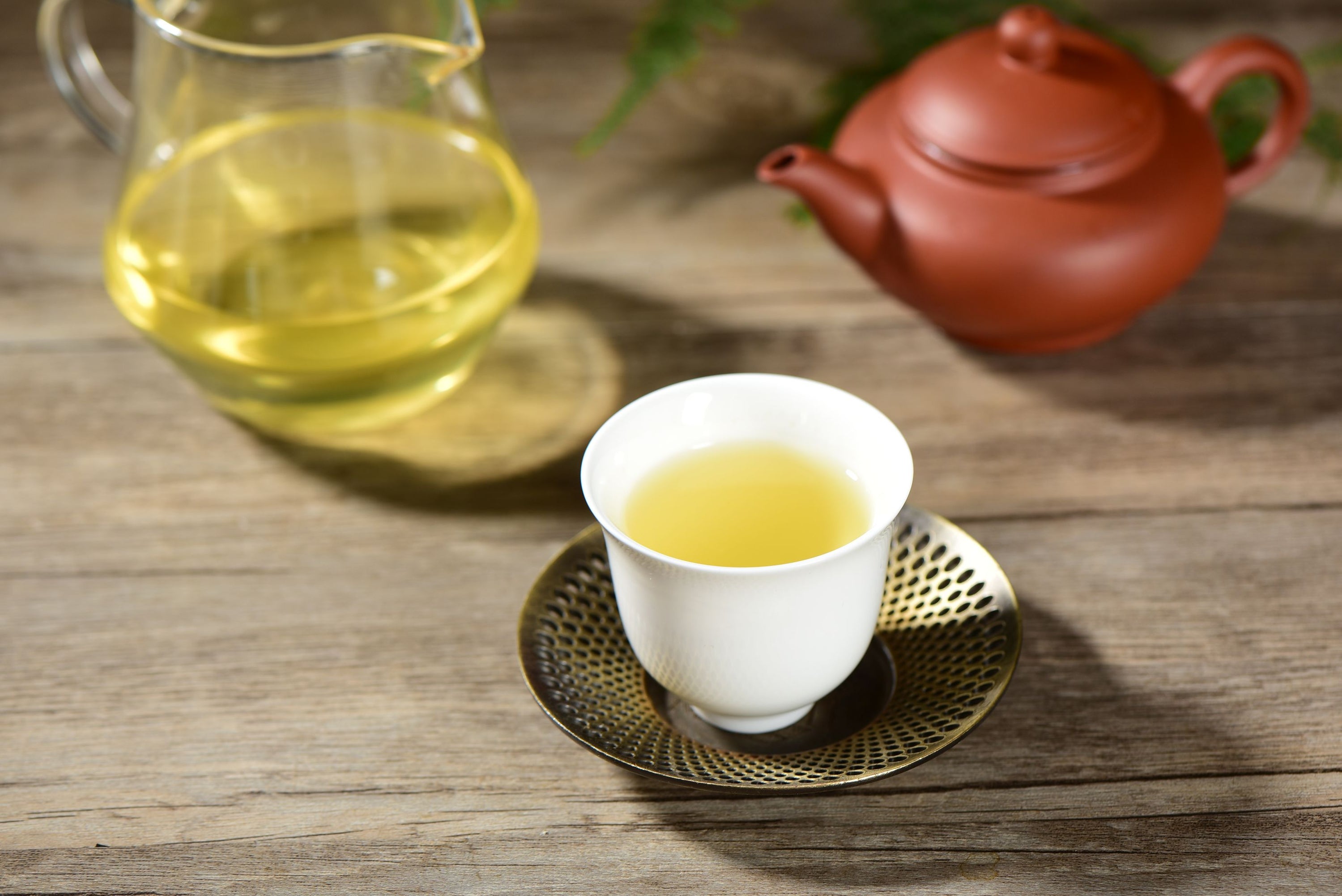 First Flush "Competition Grade" Laoshan Green Tea Yunnan Sourcing Tea Shop