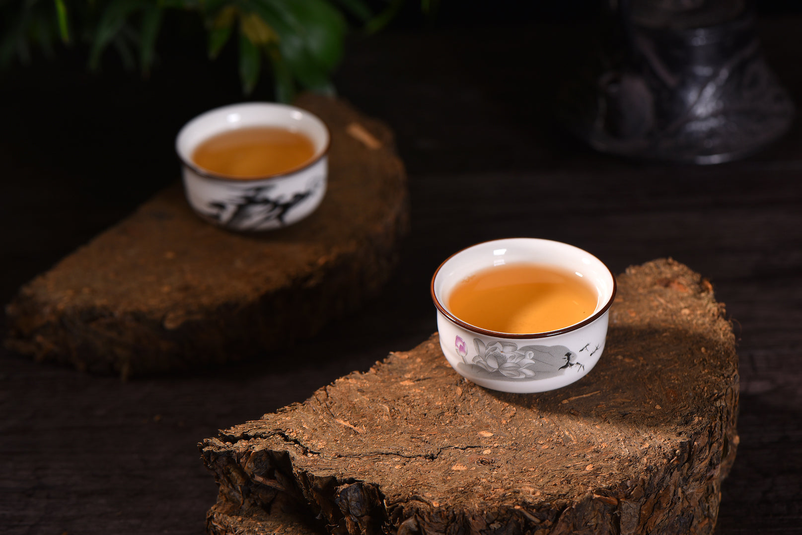 2010 Cha Yu Lin "Qian Liang Cha" Hunan Hei Cha Tea — Yunnan Sourcing ...