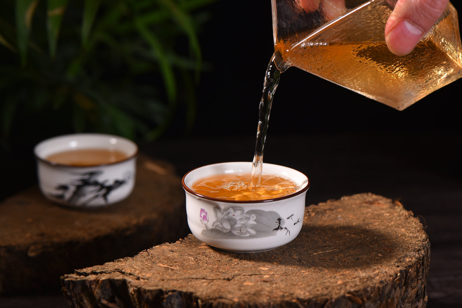 2010 Cha Yu Lin "Qian Liang Cha" Hunan Hei Cha Tea — Yunnan Sourcing ...