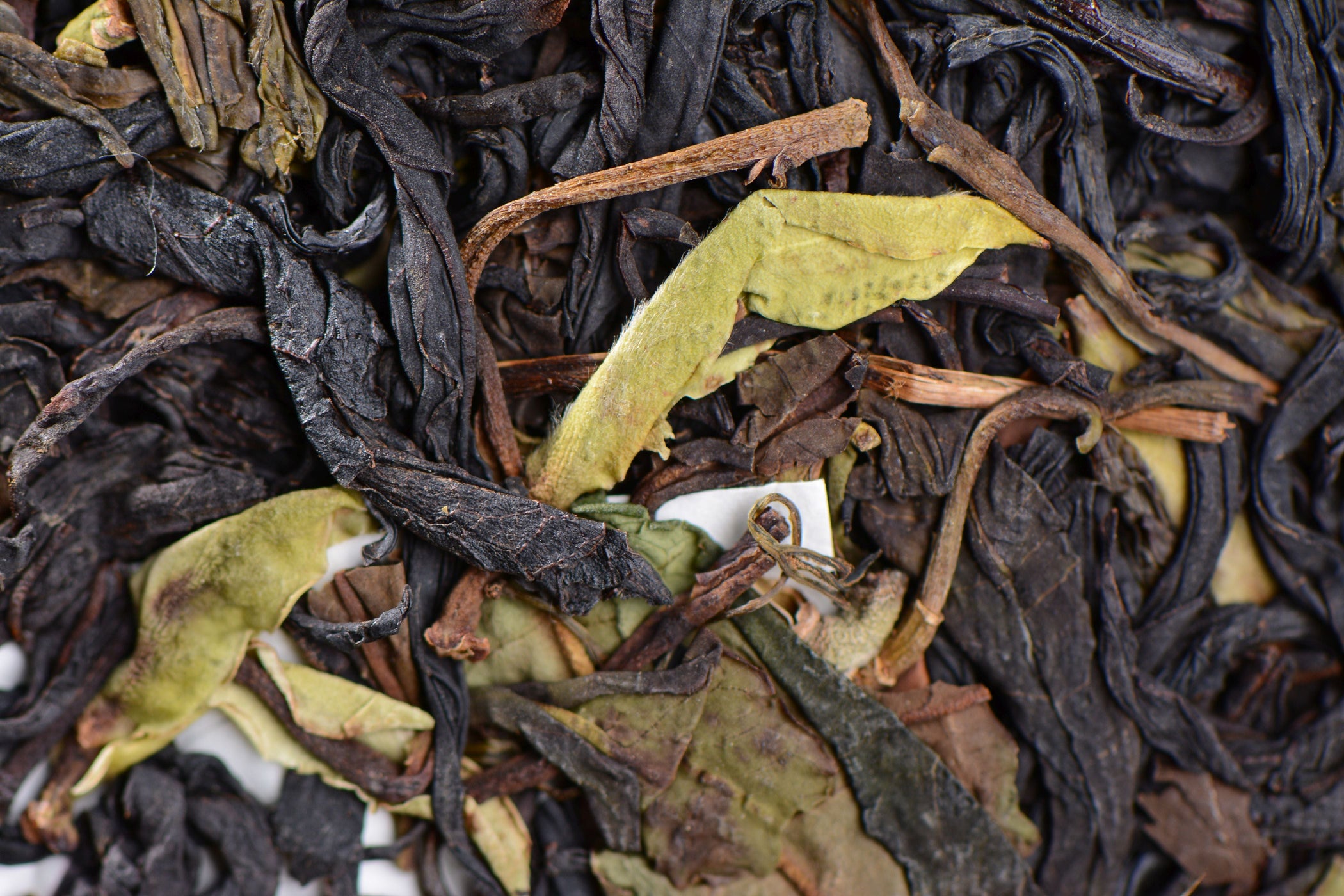 "Purple Voodoo" Purple Black Tea Cake * Spring 2021 — Yunnan Sourcing ...