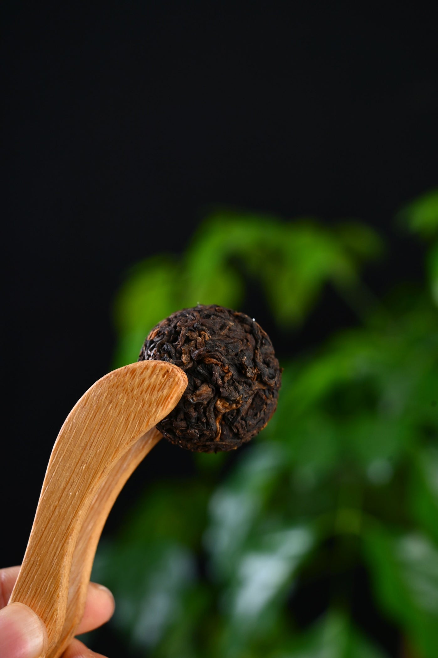 2022 Yunnan Sourcing "Menghai Tiger" Ripe Pu-erh Tea Mini Tuo Yunnan ...