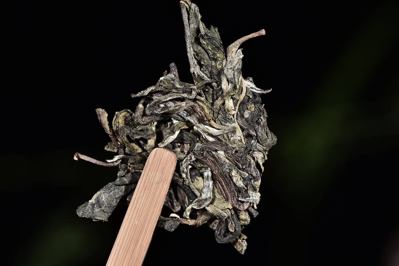 2017 Yunnan Sourcing "Autumn Ba Wai Village" Raw Pu-erh Tea Cake Yunnan ...