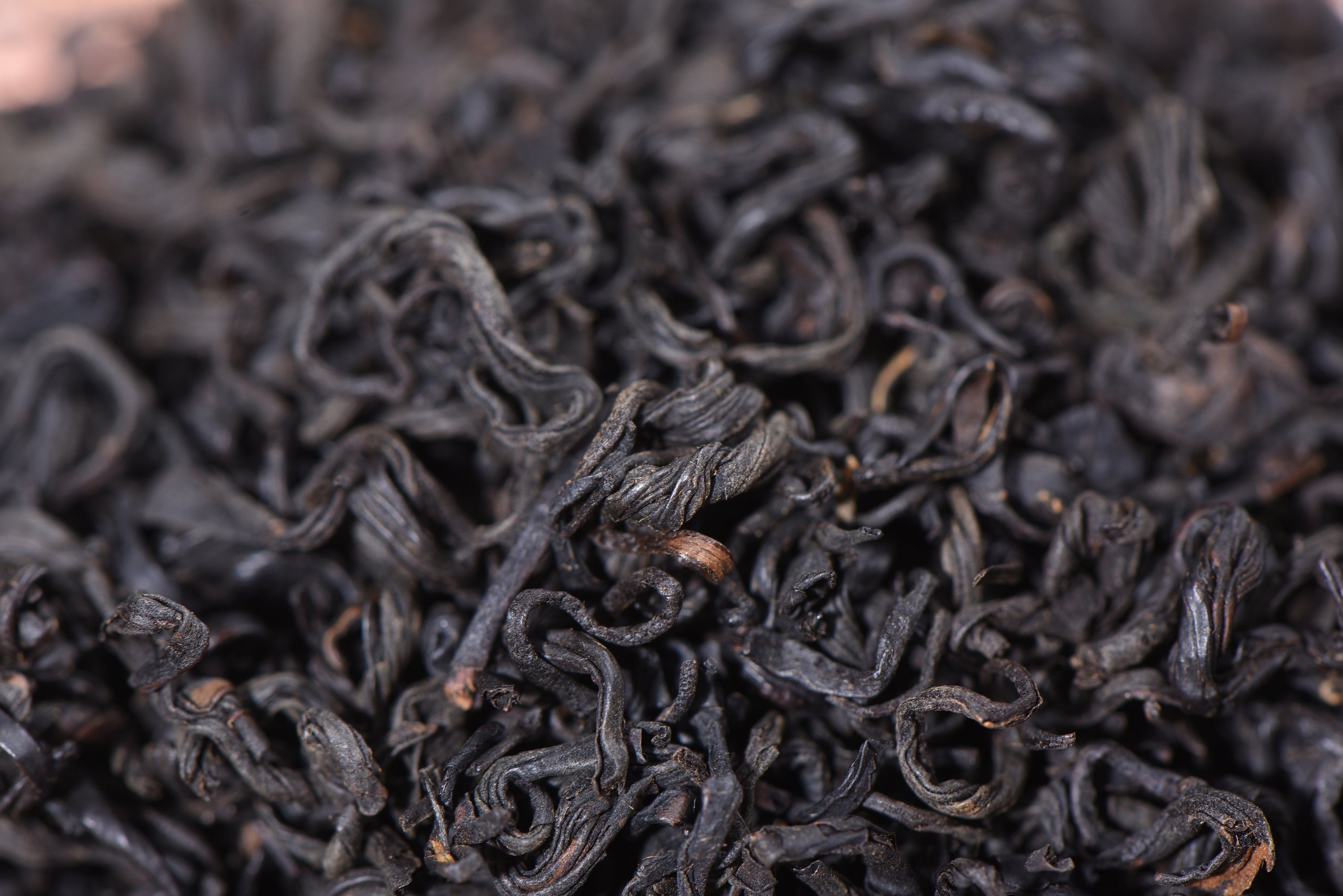 Classic Laoshan Black Tea from Shandong — Yunnan Sourcing Tea Shop