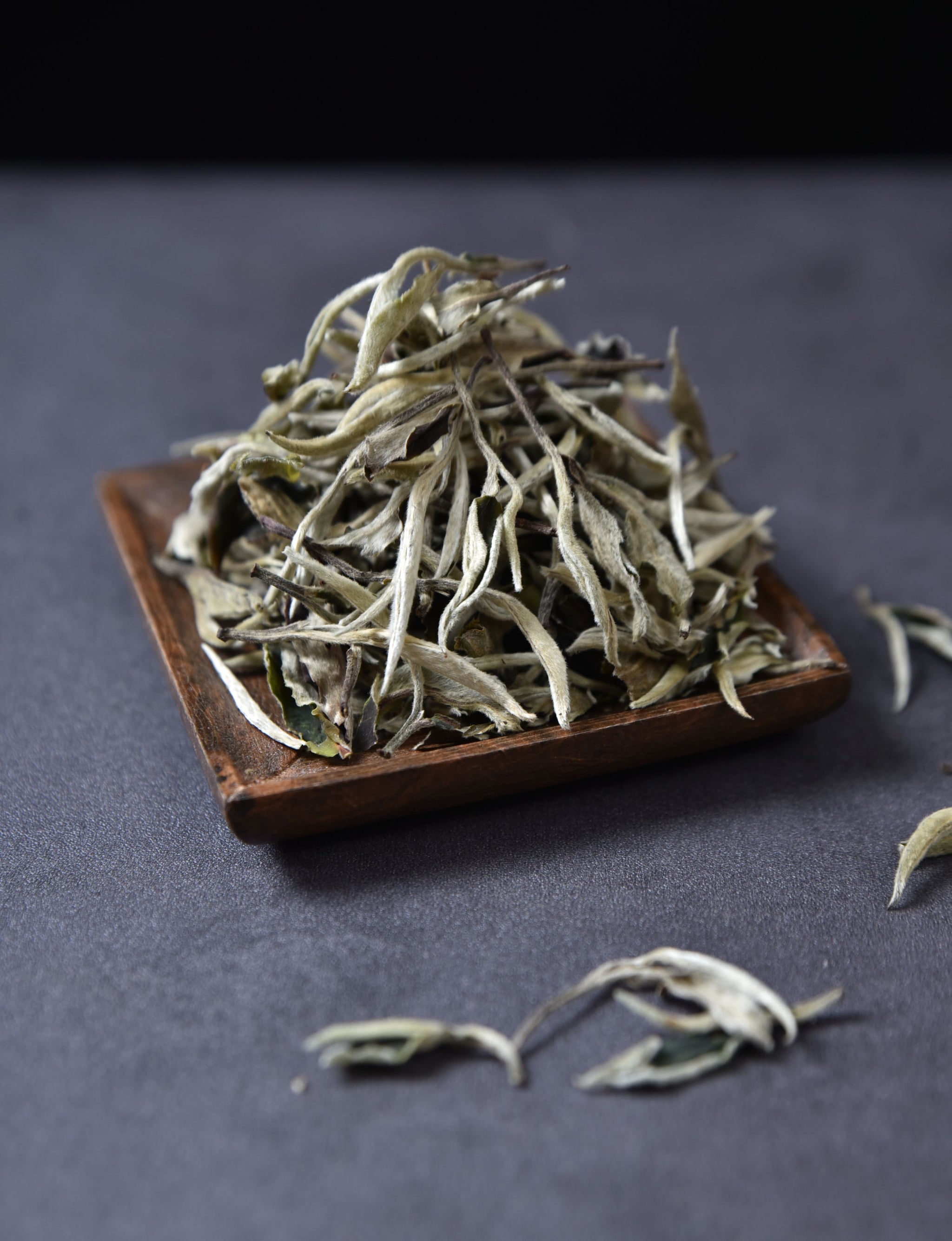 White Tea - Spring 2023 — Yunnan Sourcing Tea Shop