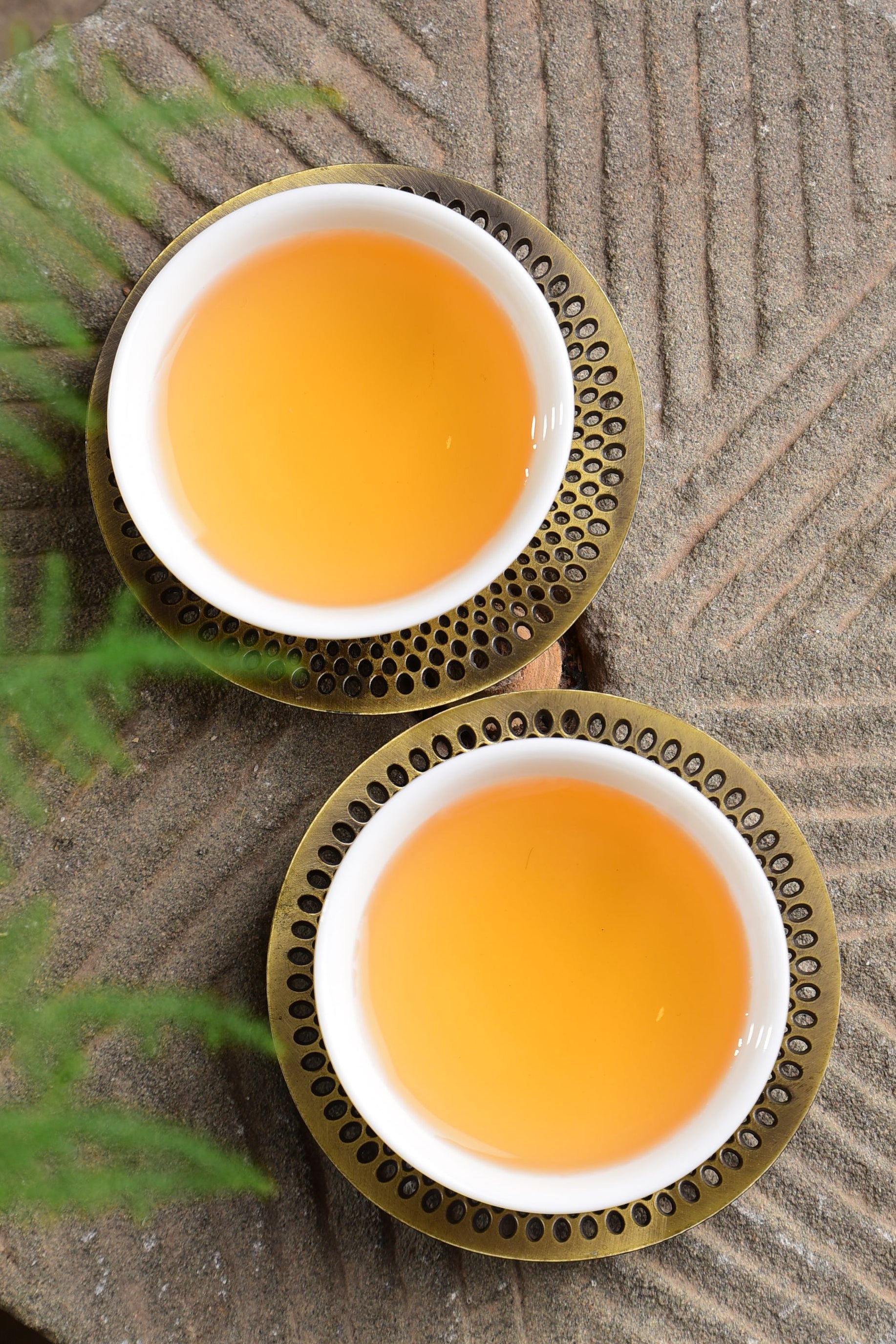 2020 Yunnan Sourcing "Wu Liang Mountain" Wild Arbor Raw Pu-erh Tea Cake ...