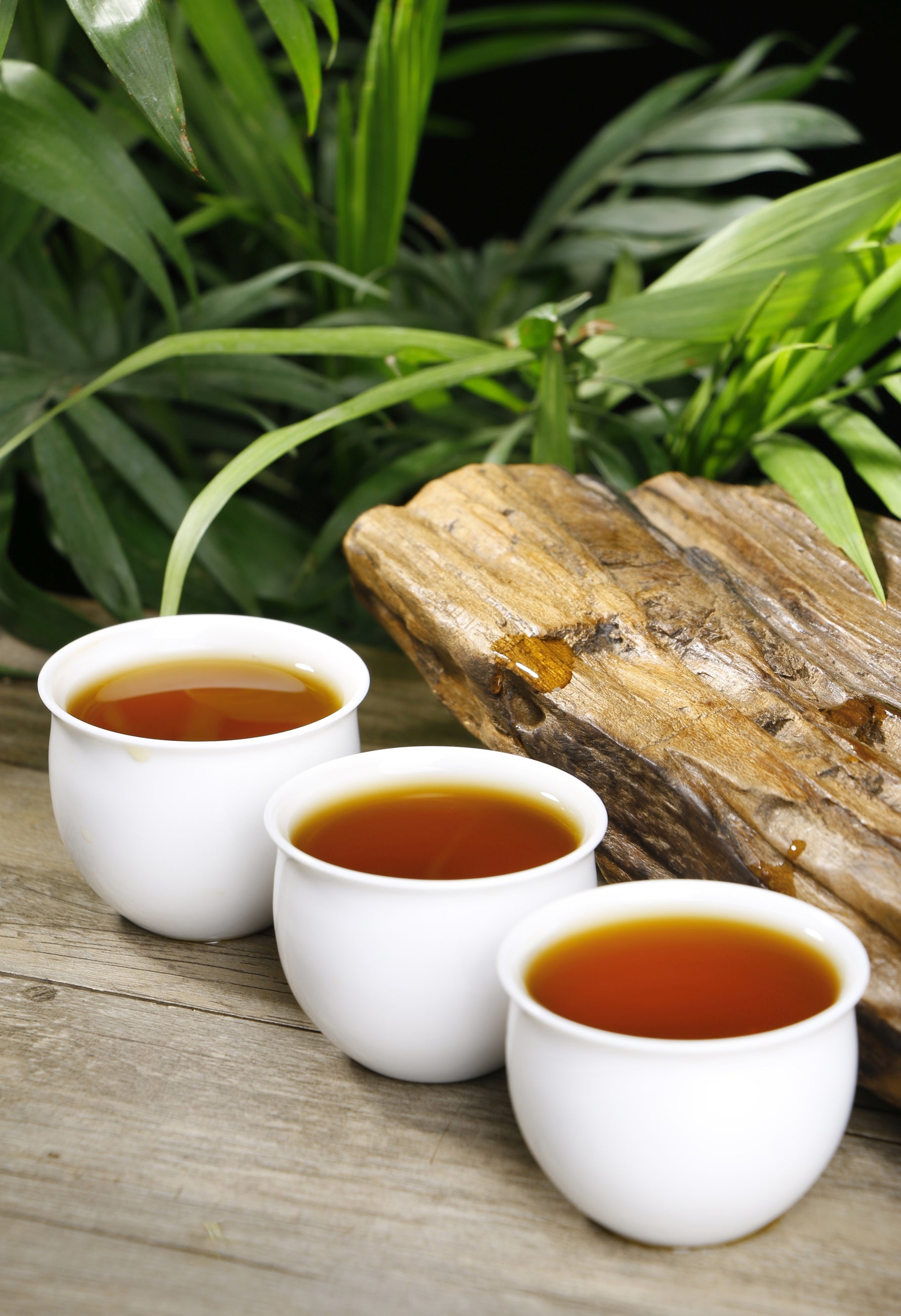 Traditional Process Dian Hong Black Tea of Feng Qing — Yunnan Sourcing ...