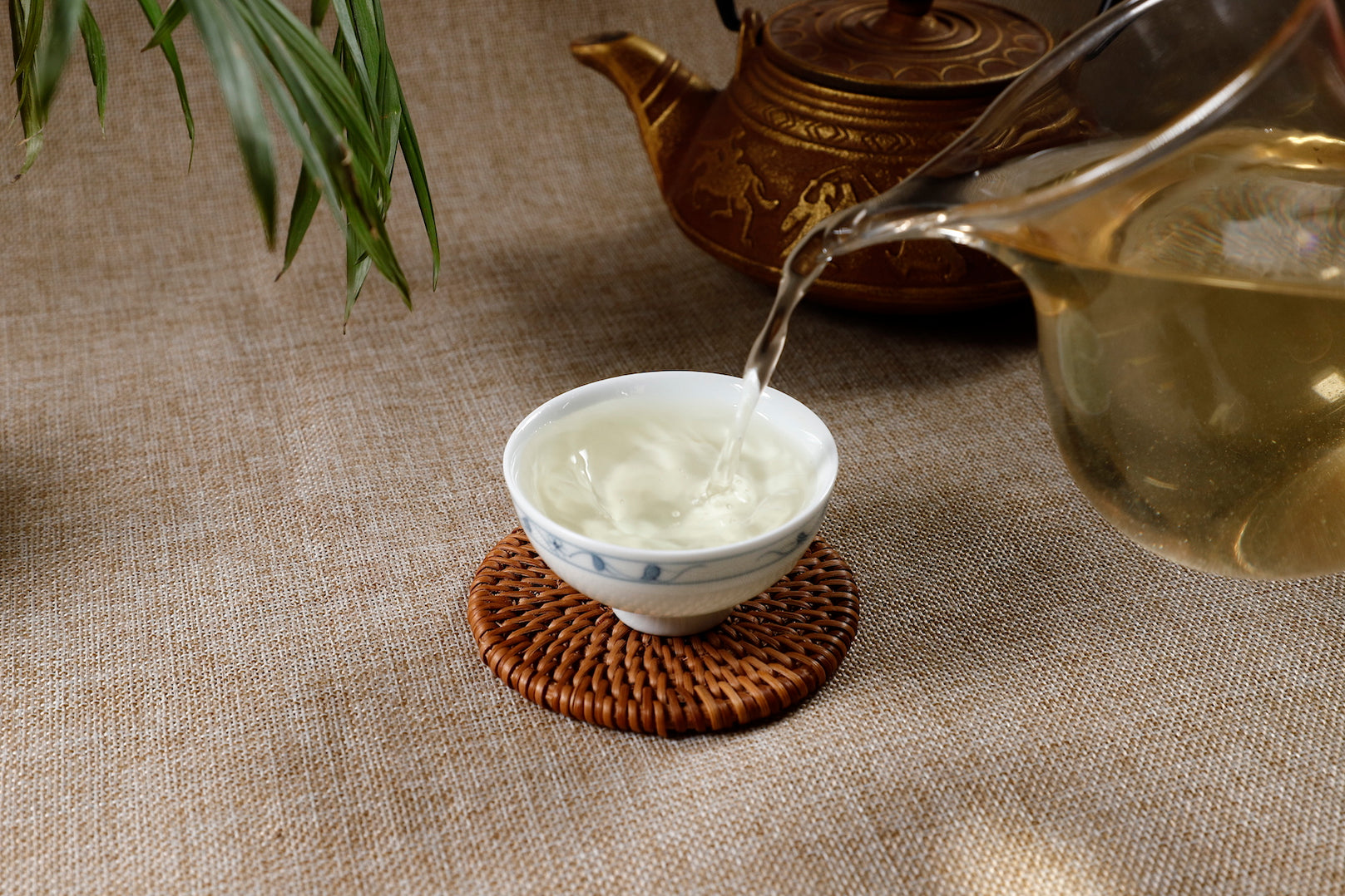 Anji Bai Cha Green Tea of Zhejiang Yunnan Sourcing Tea Shop