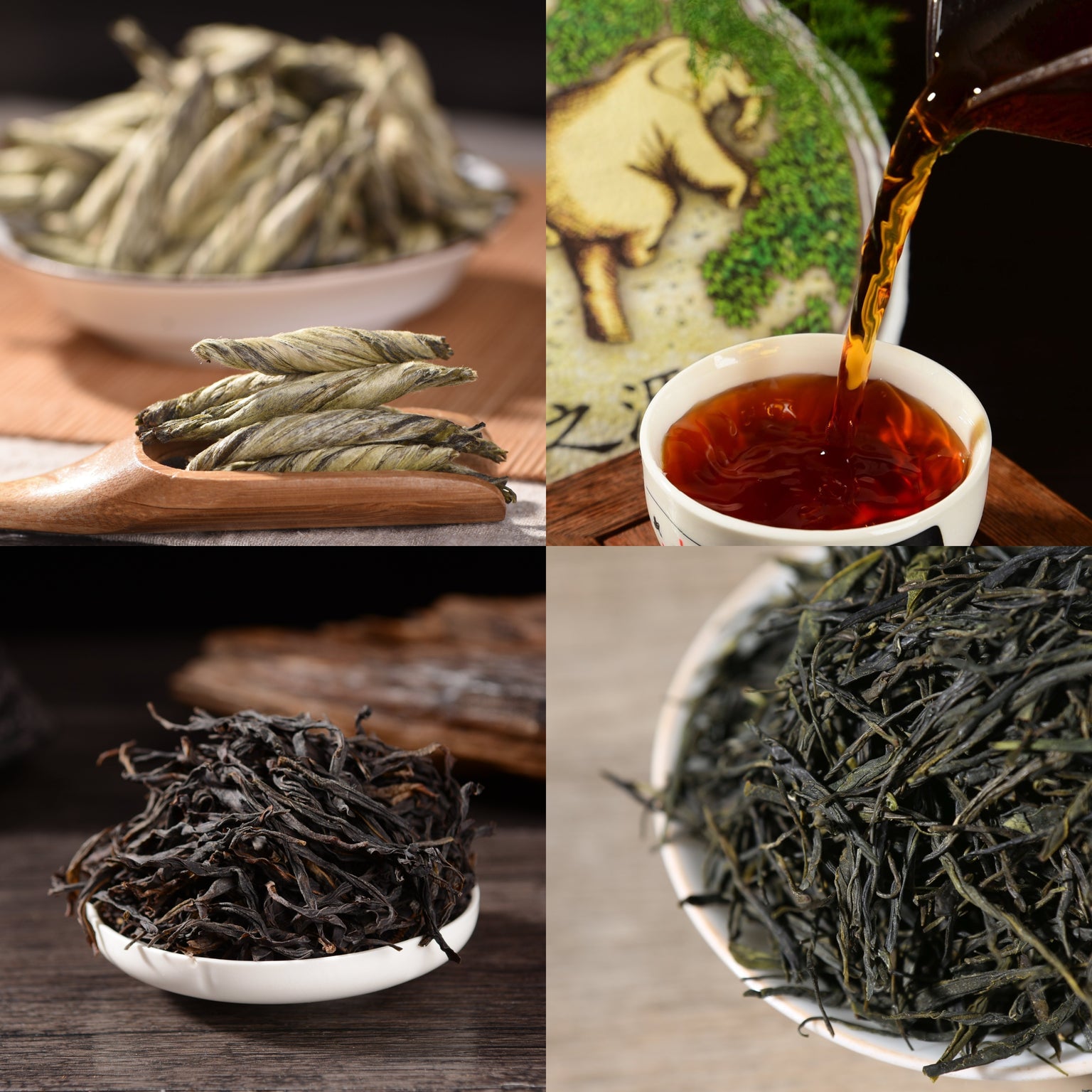 Curated Tea Samplers Yunnan Sourcing Tea Shop