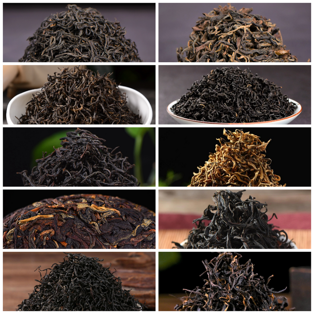 Curated Tea Samplers Yunnan Sourcing Tea Shop
