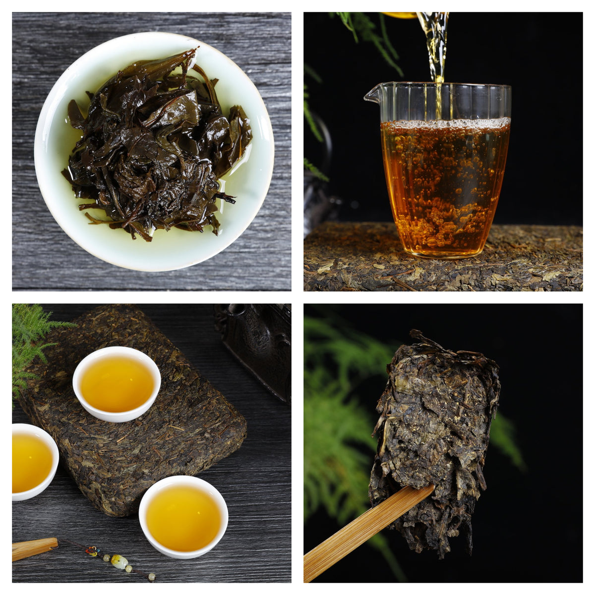 "Just Fu Cha" Fu Zhuan Tea Sampler — Yunnan Sourcing Tea Shop